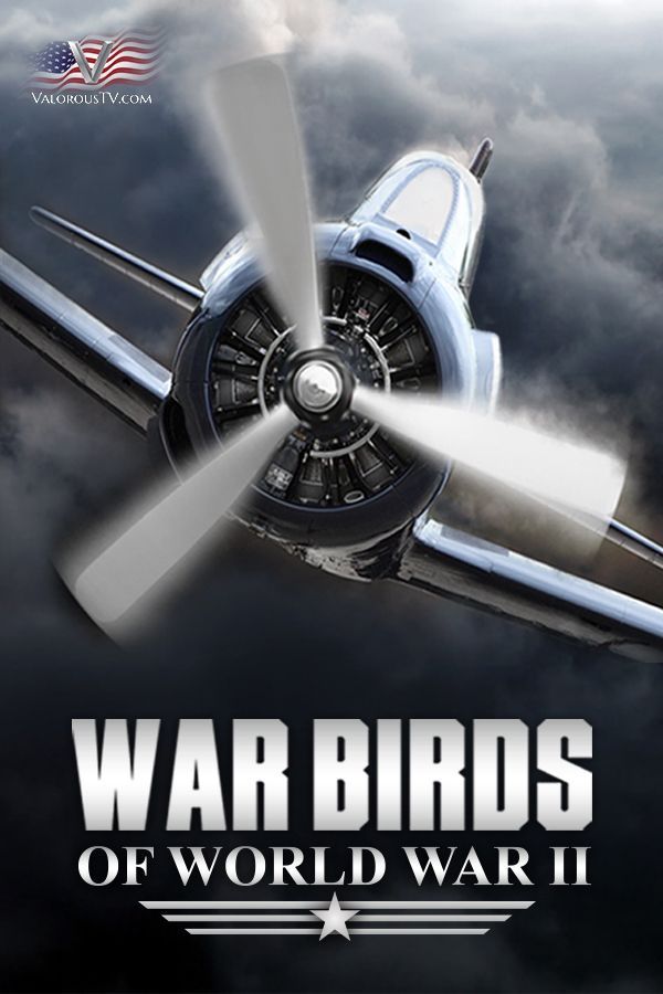 Warbirds of World War II Overview (2008) – Military Gogglebox